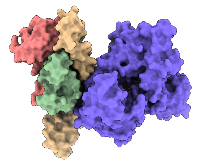 Structural and mechanistic basis of MICAL regulation | MICAL | Project ...