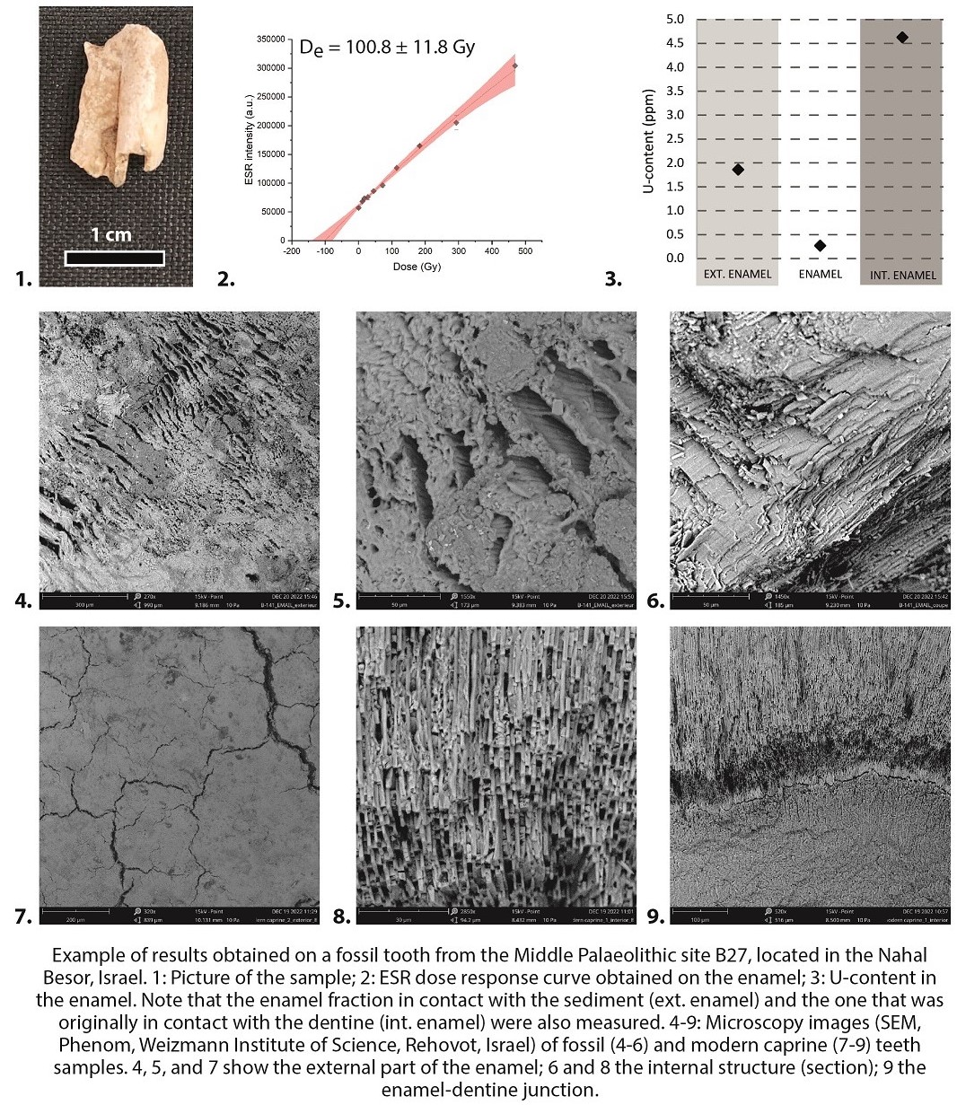 Assessing the effect of diagenesis on dateable materials: implications ...