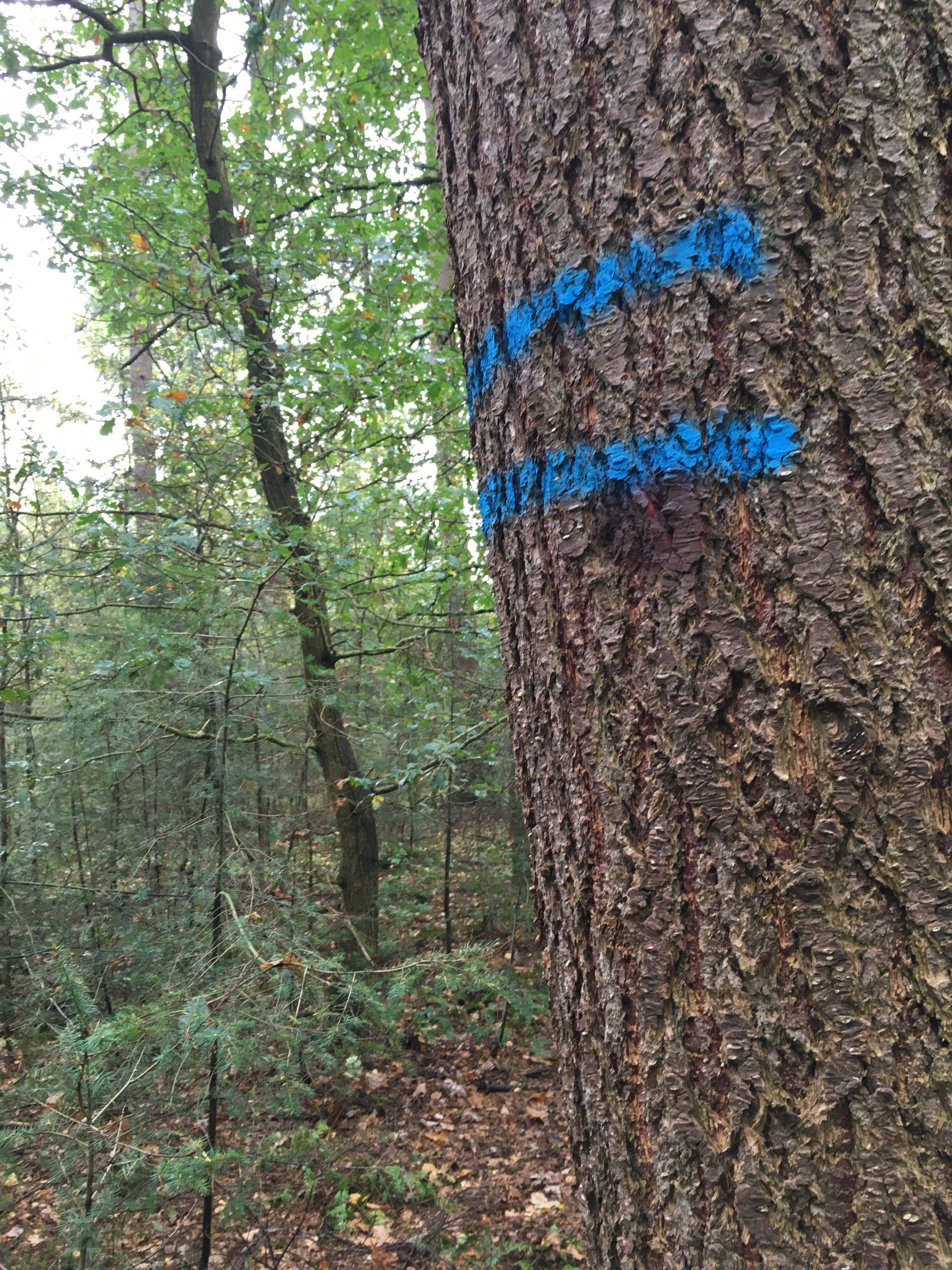 'Fostering Resilience' in Front-line Environmental Management Practice ...