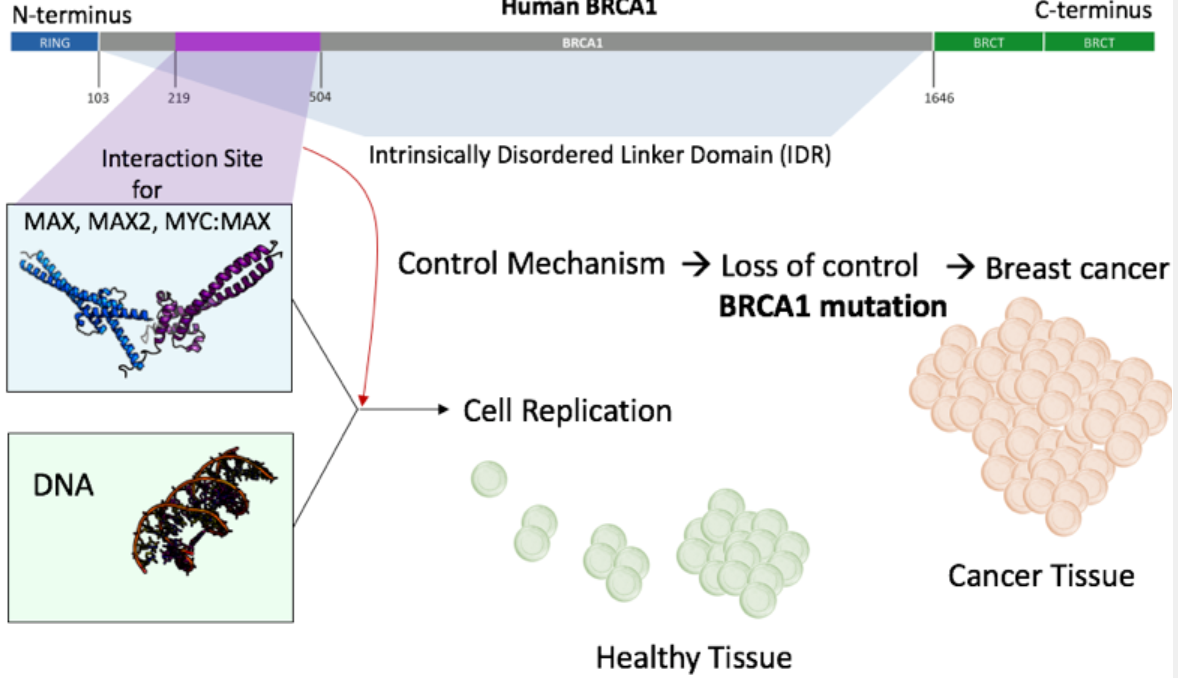 Hyperpolarized Nuclear Magnetic Resonance Spectroscopy for Time ...