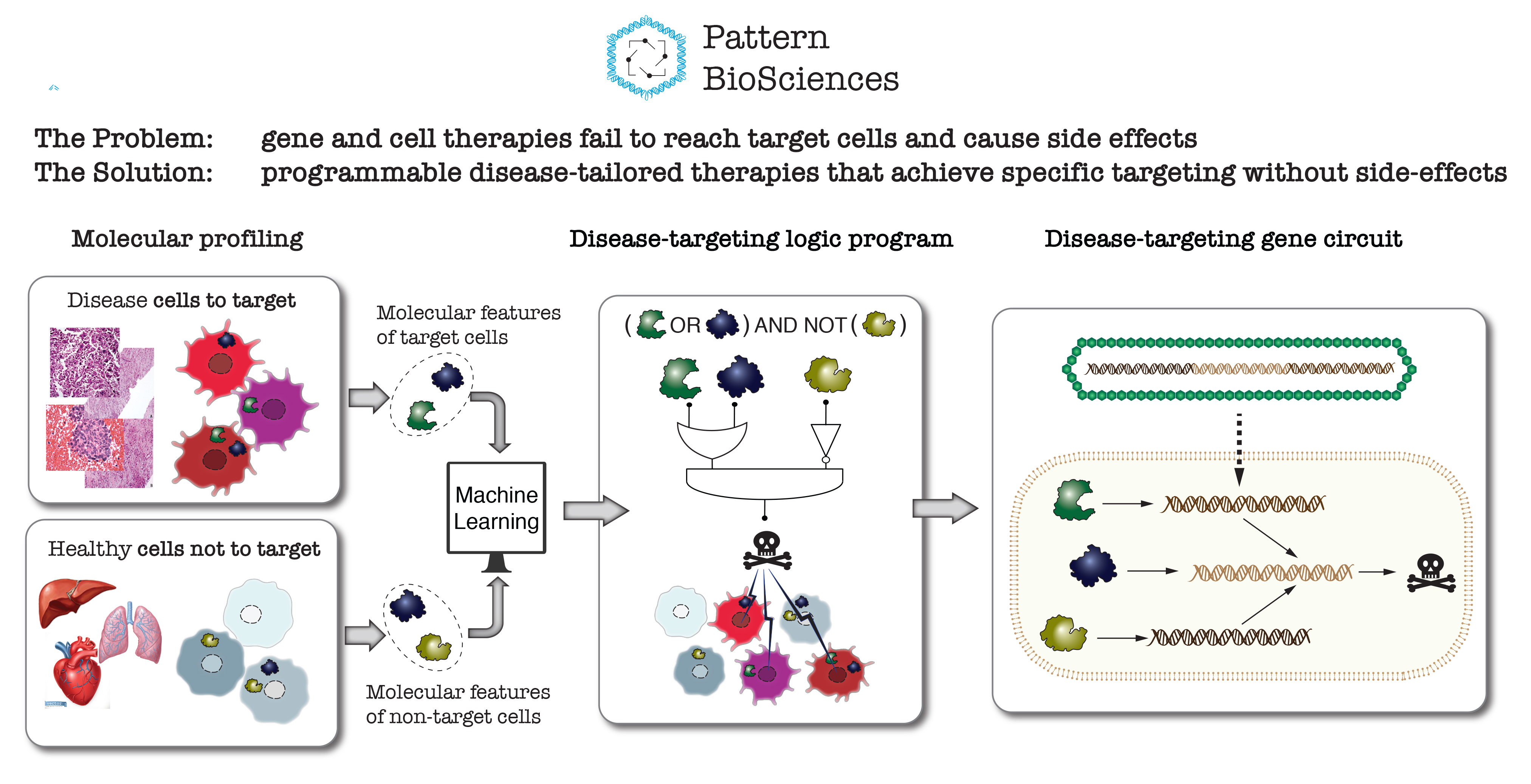 Next generation cancer therapies targeting cancer networks | H2020 ...