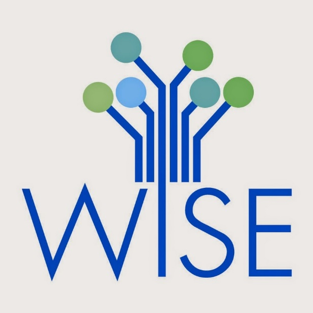 The first Percutaneous Paddle Lead for Spinal Cord Stimulation (SCS ...