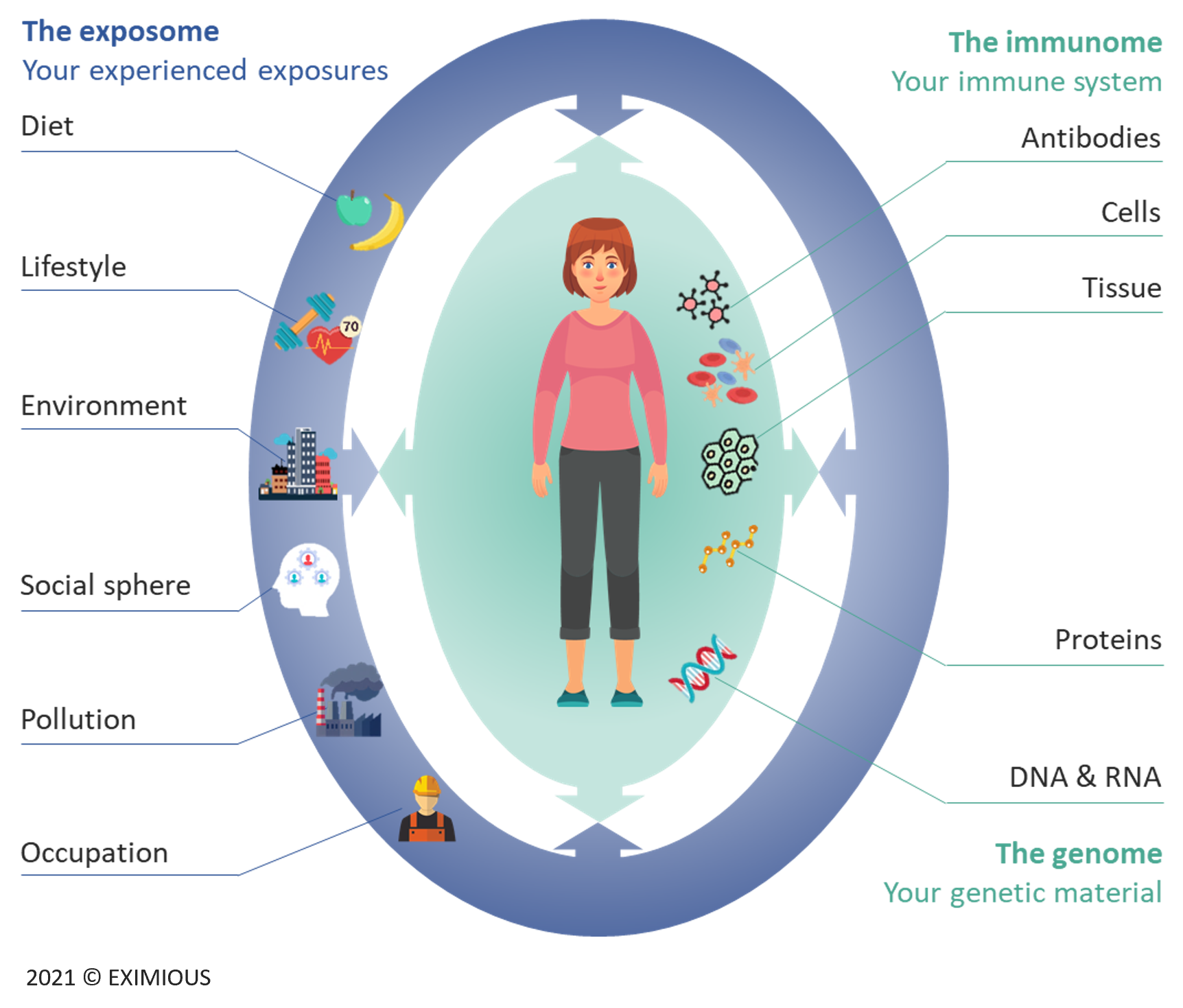 Mapping Exposure-Induced Immune Effects: Connecting the Exposome and ...