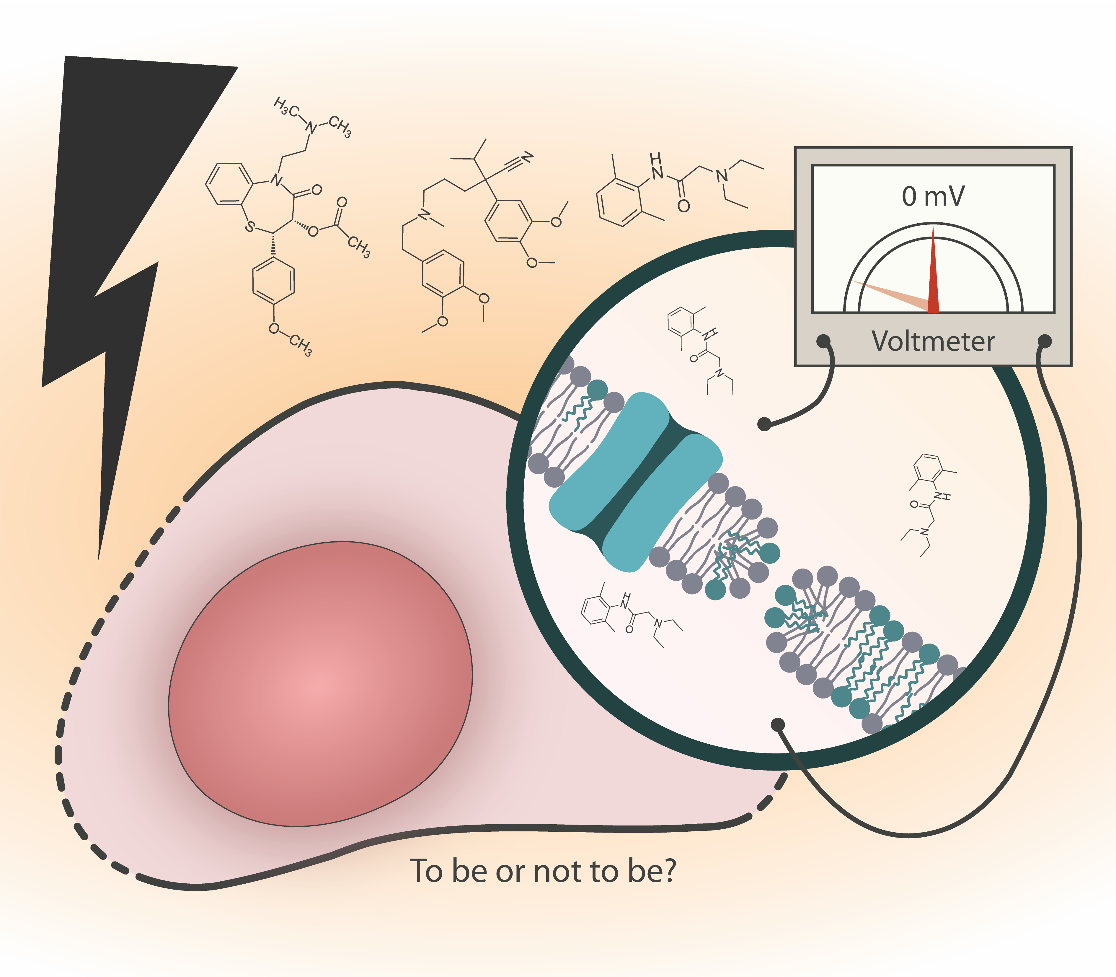 Controlling the susceptibility of biological cells to pulsed electric ...