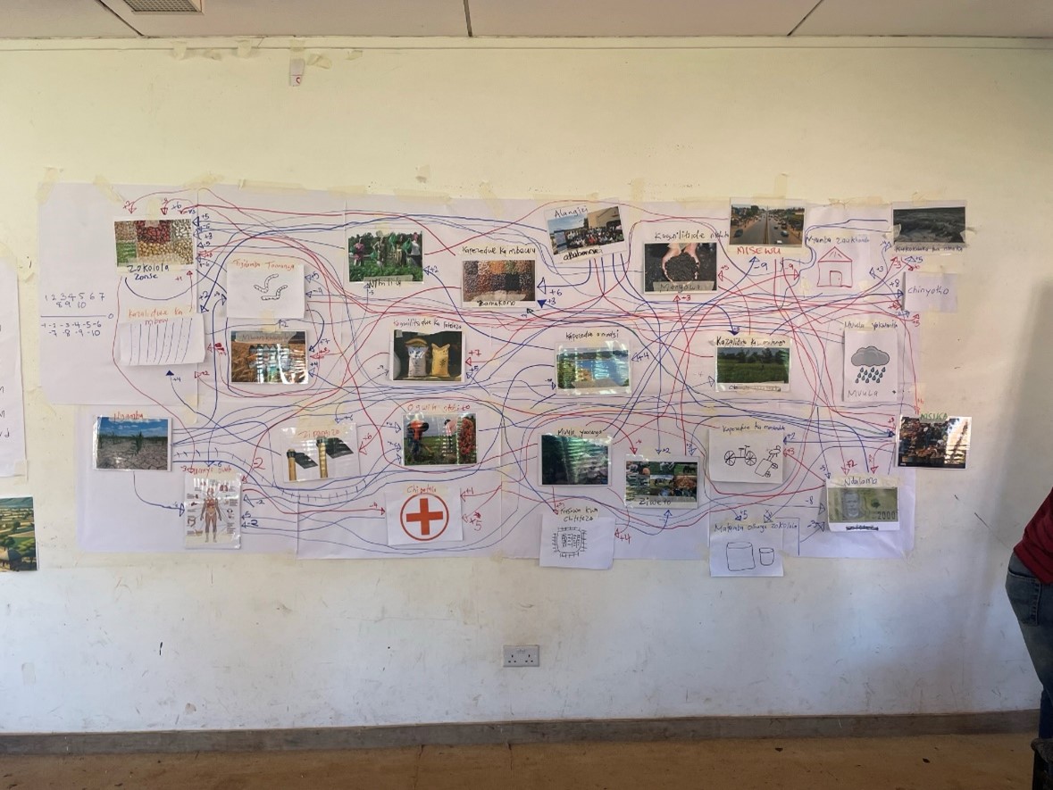 Food Systems Transformation in Southern Africa for One Health | HORIZON ...