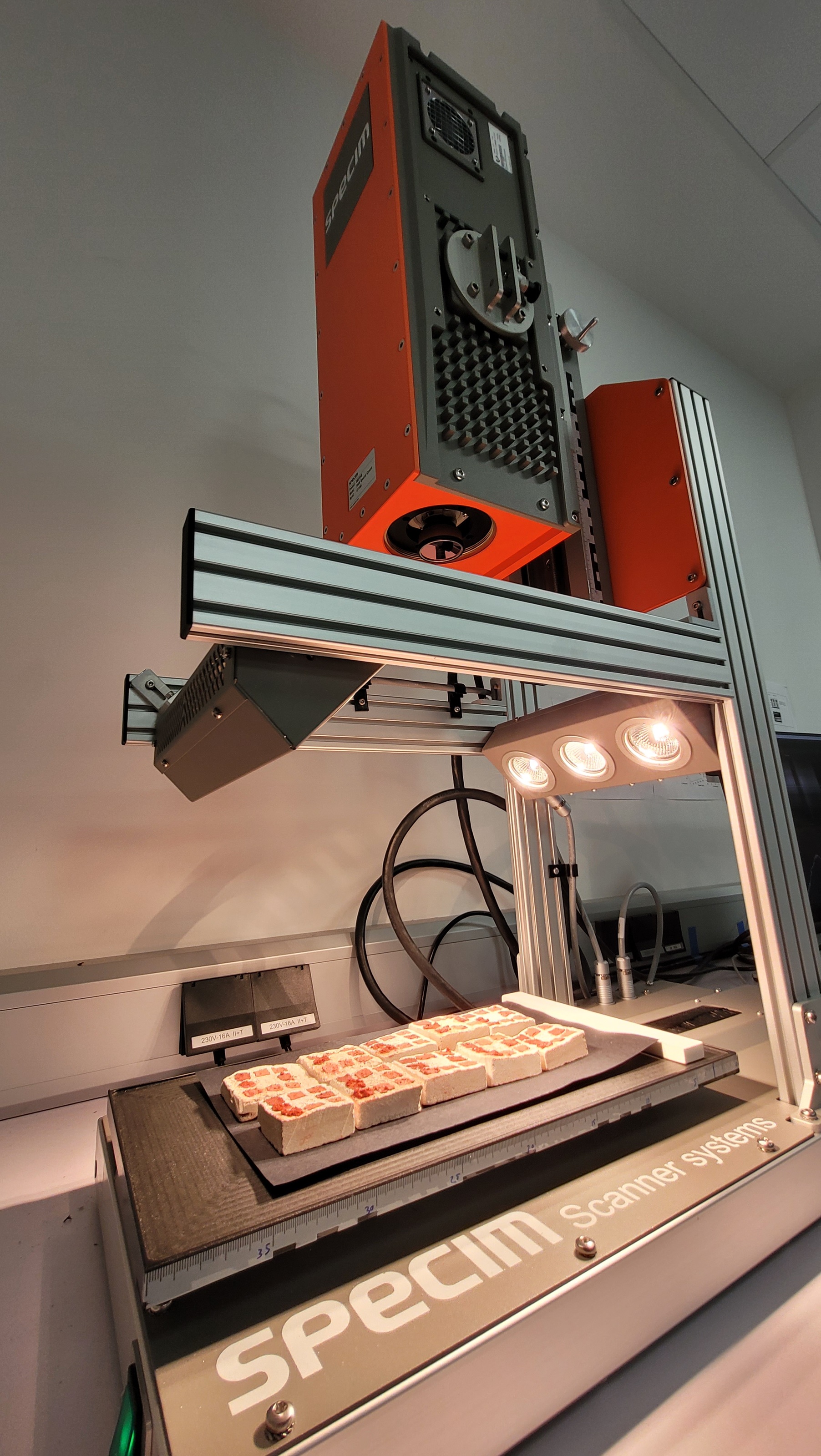 TaphArt: exploring the potential existence of rock art paintings in the ...