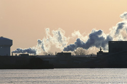 Burning biofuel in conventional power plants | TOMERED Project ...