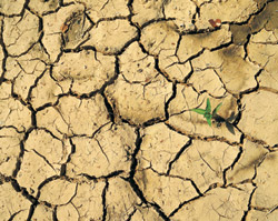 Integrated policy for desertification in Europe | MEDACTION 4 Project ...