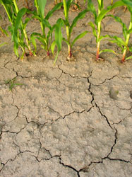 Evaluating the desertification risk in Europe | MEDACTION 4 Project ...
